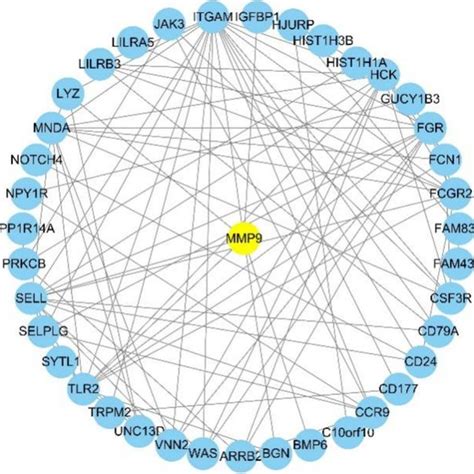 Protein Protein Interaction Networks Of Differential Genes Download Scientific Diagram