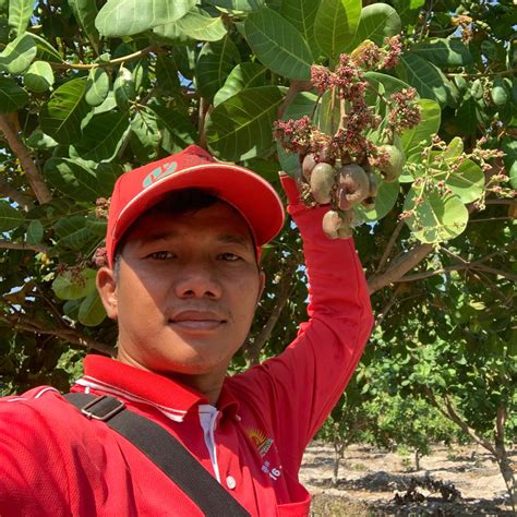 ដេប៉ូកសិកម្ម តុងហេង