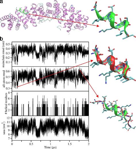 Tcf4−β Catenin Complexed To Uncomplexed State Comparison A X Ray Download Scientific Diagram