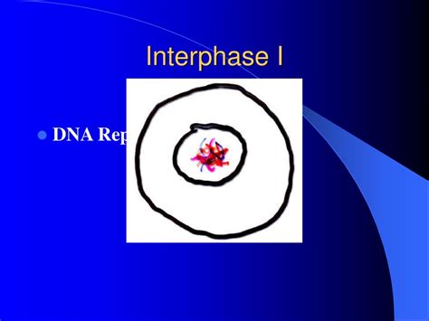Meiosis How To Make Sex Cells Ppt Download