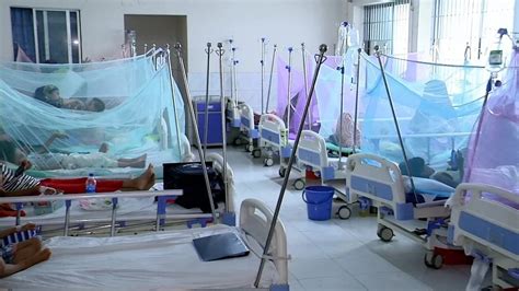 ডেঙ্গুতে আরও ১০ জনের মৃত্যু