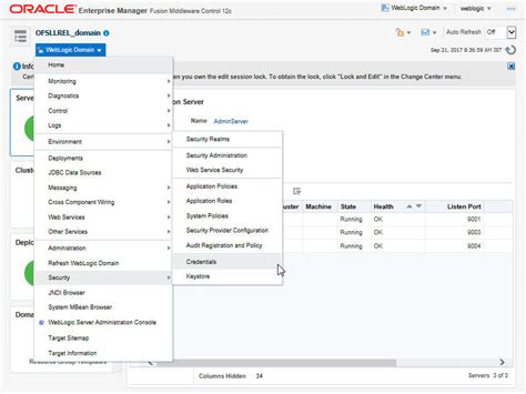 10 configuring oracle bi publisher for application