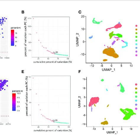 Overview Of Data Processing And Cell Annotation In ScRNA Data A D Download Scientific