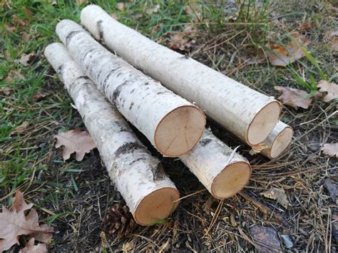 Wooden Logs For Decoration