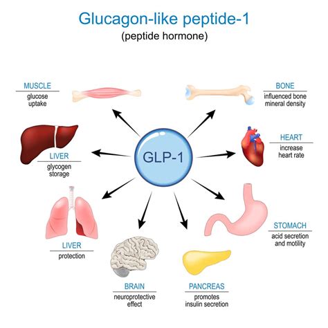 What Glp1 Is Covered By Insurance For Weight Loss