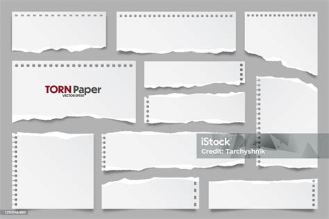 흰색 찢어진 종이 스트립 컬렉션 찢어진 가장자리가있는 현실적인 종이 스크랩 스티커 노트 노트북 페이지의 조각 벡터 일러스트레이션 0명에 대한 스톡 벡터 아트 및 기타 이미지