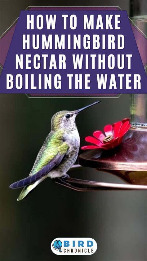 How To Make Homemade Hummingbird Nectar