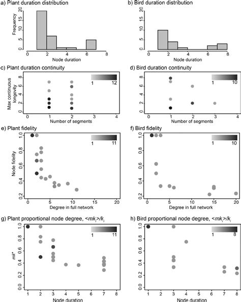 plant left and bird right temporal node measures node duration in