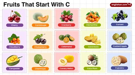 50 Fruits That Start With A In English