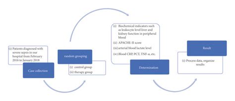 Flow Chart Of Experiment Process Download Scientific Diagram
