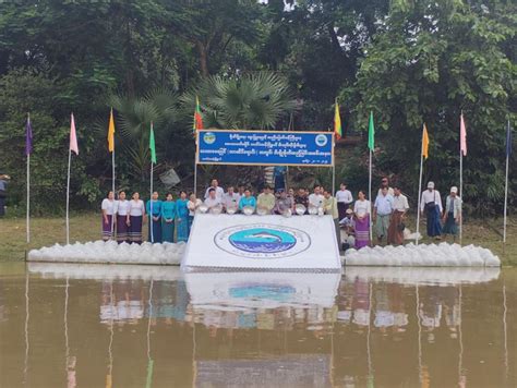 လက်ပံတန်း၌ သဘာဝမြစ်ချောင်းများအတွင်း ငါးမျိုးစိုက်ထည့် Information