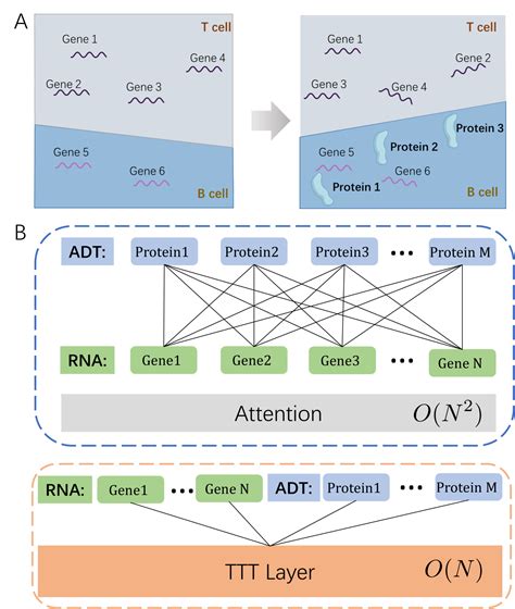 Sc Otgm Single Cell Perturbation Modeling By Solving Optimal Mass Transport On The Manifold Of