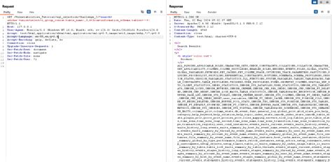 Web Security Vulnerabilities SQL Injection Emp R R