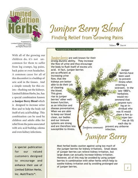 Juniper Berry Blend Limited Edition Herbs