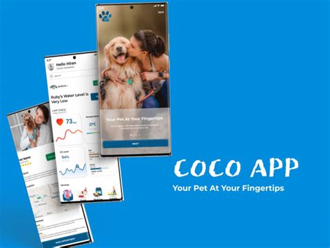 expert ui ux designer crafting intuitive and engaging digital
