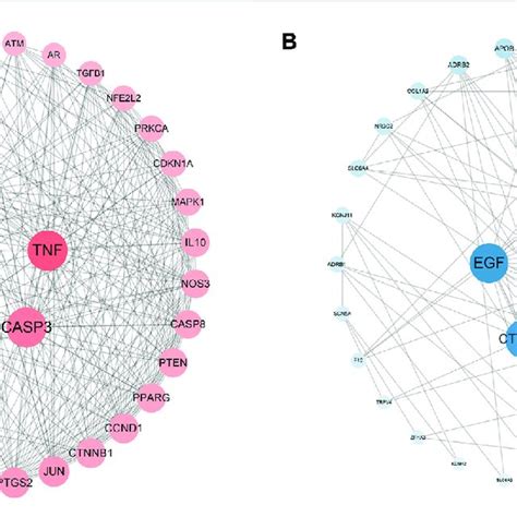 Protein Protein Interaction Network A The Pink Nodes Represent The Download Scientific