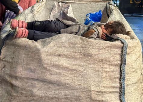 Gratitude Profound Teacher Istanbul Perspective Cradle Mind Gratitude Gratitude