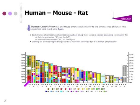Bits Comparative Genomics On The Genome Level Pdf