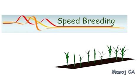 Speed Breeding Presentation Pptx