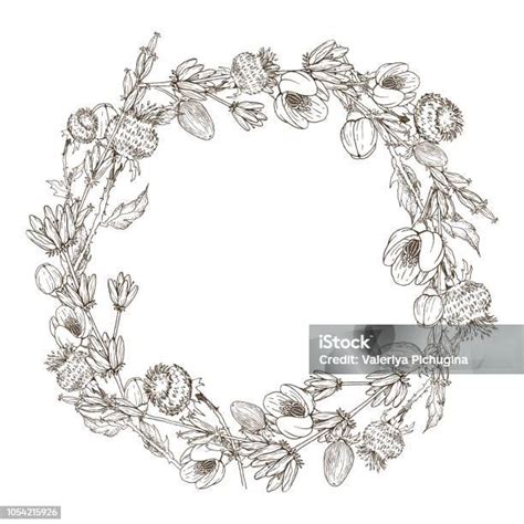 야생 약초 꽃의 화 환입니다 벡터입니다 손으로 그린 작품입니다 결혼식 초대장 카드 티켓 축 하 브랜딩 부티크 로고 상표에 대 한 개념을 사랑 해요 식물 스타일 스케치 0명에