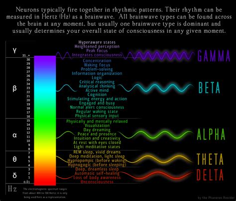 Eeg Brain Waves