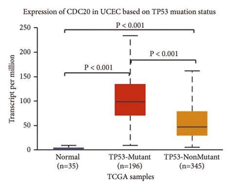 The Underlying Intrinsic Pathogeneses Of Ucec A F The Promoter