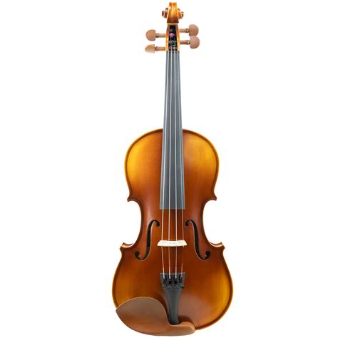 First Violin Là Gì Cách Sử Dụng Và Ví Dụ Câu Chi Tiết