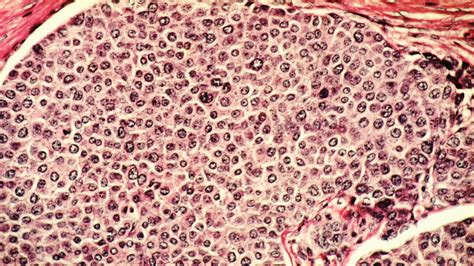 Best Practices In Phage Display Looking Beyond Binding Affinity