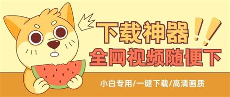 四款视频下载神器，每个都好用到爆 知乎