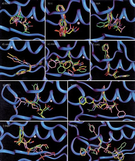 Mmpinhibitor Complexes Crystallographic Structure Yellow Proposed