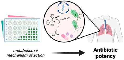 研究铜绿假单胞菌抗生素联合治疗代谢的作用 ACS Infectious Diseases X MOL