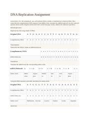 DNA Replication Assignment Docx DNA Replication Assignment Instructions For This