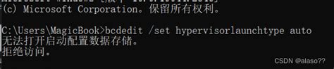 请启用虚拟机平台 windows 功能并确保在 bios 中启用虚拟化 请启用虚拟机平台 windows 功能并确保在 bios 中启用虚拟化