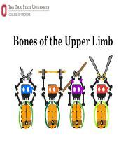 Bones Of The Upper Limb Identification Features And Course Hero