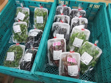 Jaあきた湖東・農産物直売所「湖東のやさい畑」ブログ 食欲の秋ぶどうも入荷