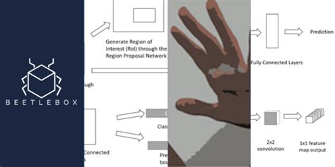 sign language recognition hand object detection using r cnn and yolo beetlebox