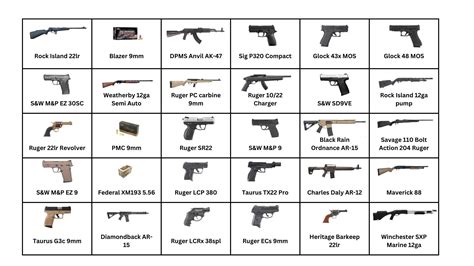 Different Types Of Guns And Their Names