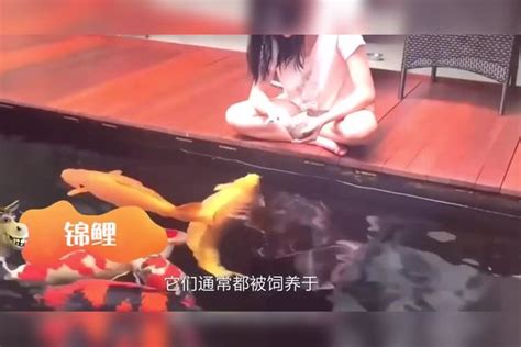 地球上6大寿命最长的动物灯塔水母可以返老还童 灯塔 动物 水母