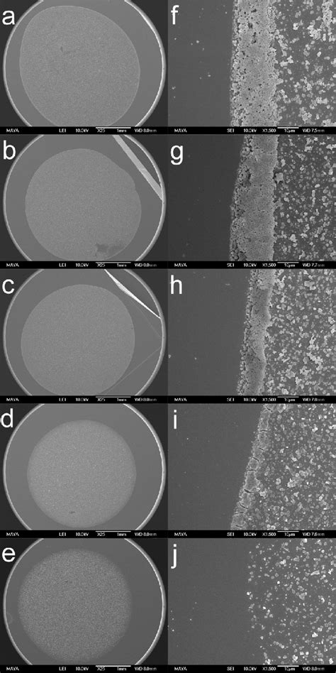 Left Column Low Magnification Sem Micrographs Of Plate Like Particles