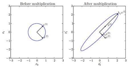Singular Value Decomposition