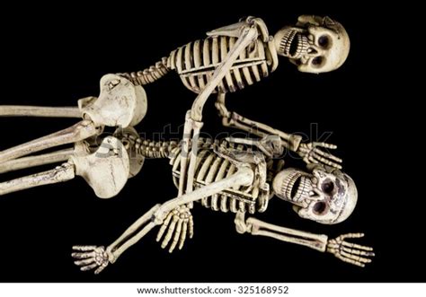 Halloween Sexskeletons Having Sex On Black Stock Photo Shutterstock