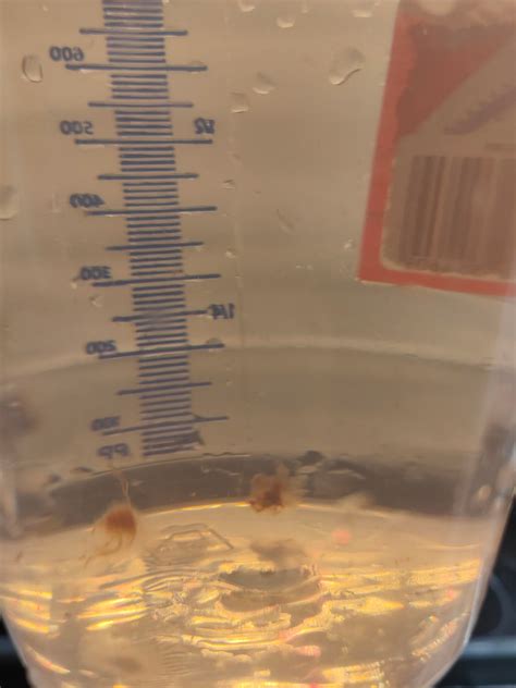 First Time Dwc Whats This In The Res Water R Dwc