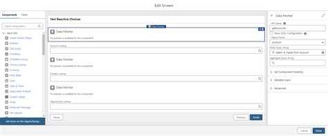 Creating Dependent Or Filtered Lookups In Flow With Data Fetcher Salesforce Break
