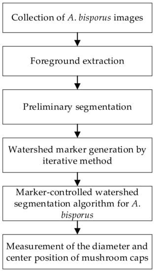 Agronomy Free Full Text A Novel Segmentation Recognition Algorithm
