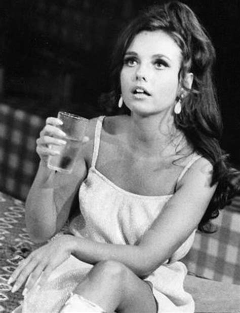 Dawn Wells Dawn Lyn Garrett Hollywood Actresses Beautiful Celebrities