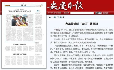 安庆日报火龙果铺就火红致富路 彭世平