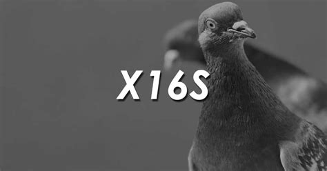 Sha 256 Hashing Algorithm List Of Coins Based On Bitcoins Sha256 Algo