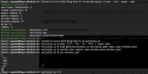 Mastering Rank One Constraint System R1cs With Circom Examples Dare