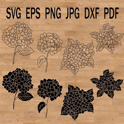 Hydrangea Template Svg Floral Cricut Svg Cut File Garden Svg Hydrangea Clipart Botanical Svg