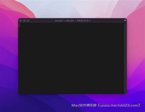 串口调试工具 serial for Mac 2 0 17 免激活 Mac软件俱乐部